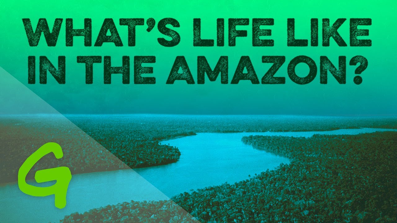 Life in the Amazon: A conversation with defenders of the world’s ...