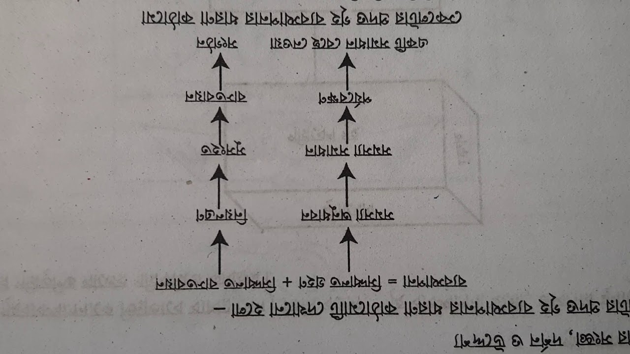 Home Economics(1st part) Chapter -1(part-1) - YouTube