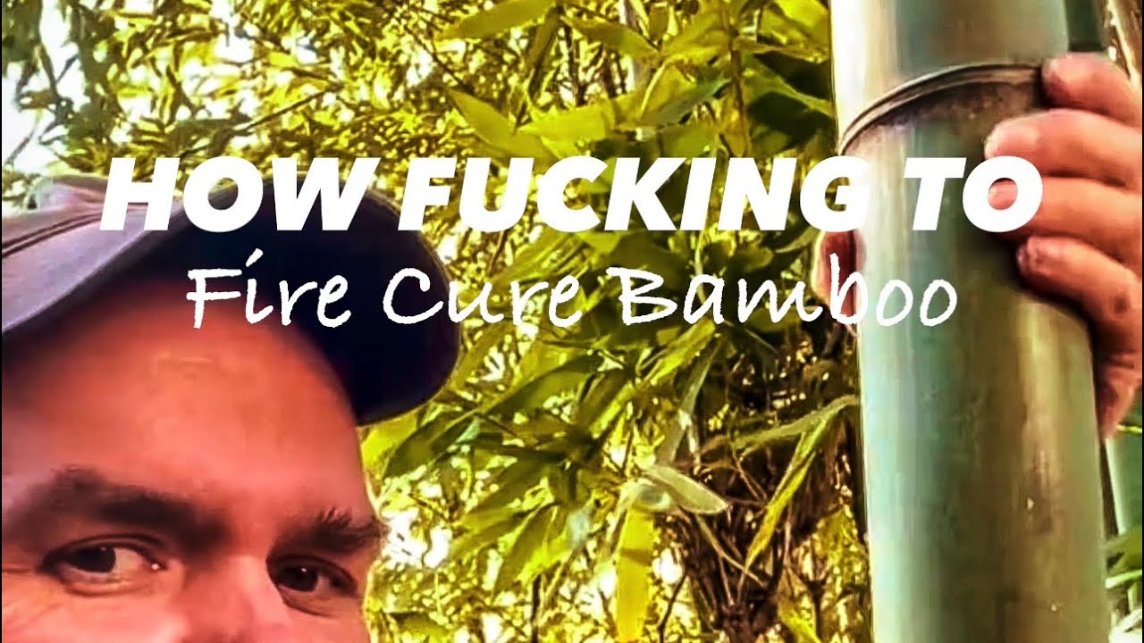 How F*cking to~ Fire Cure Bamboo - YouTube