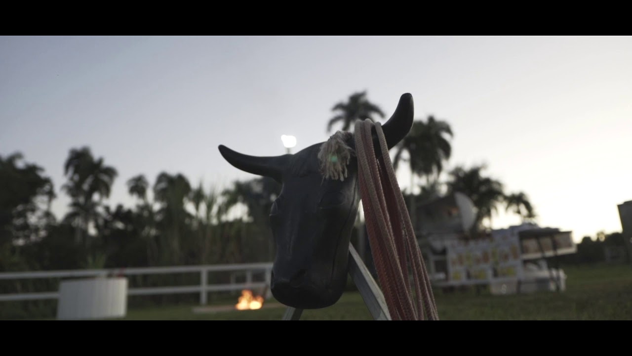 Blue Travel Partner Services | Sunset Horseback Riding & Ranch - YouTube
