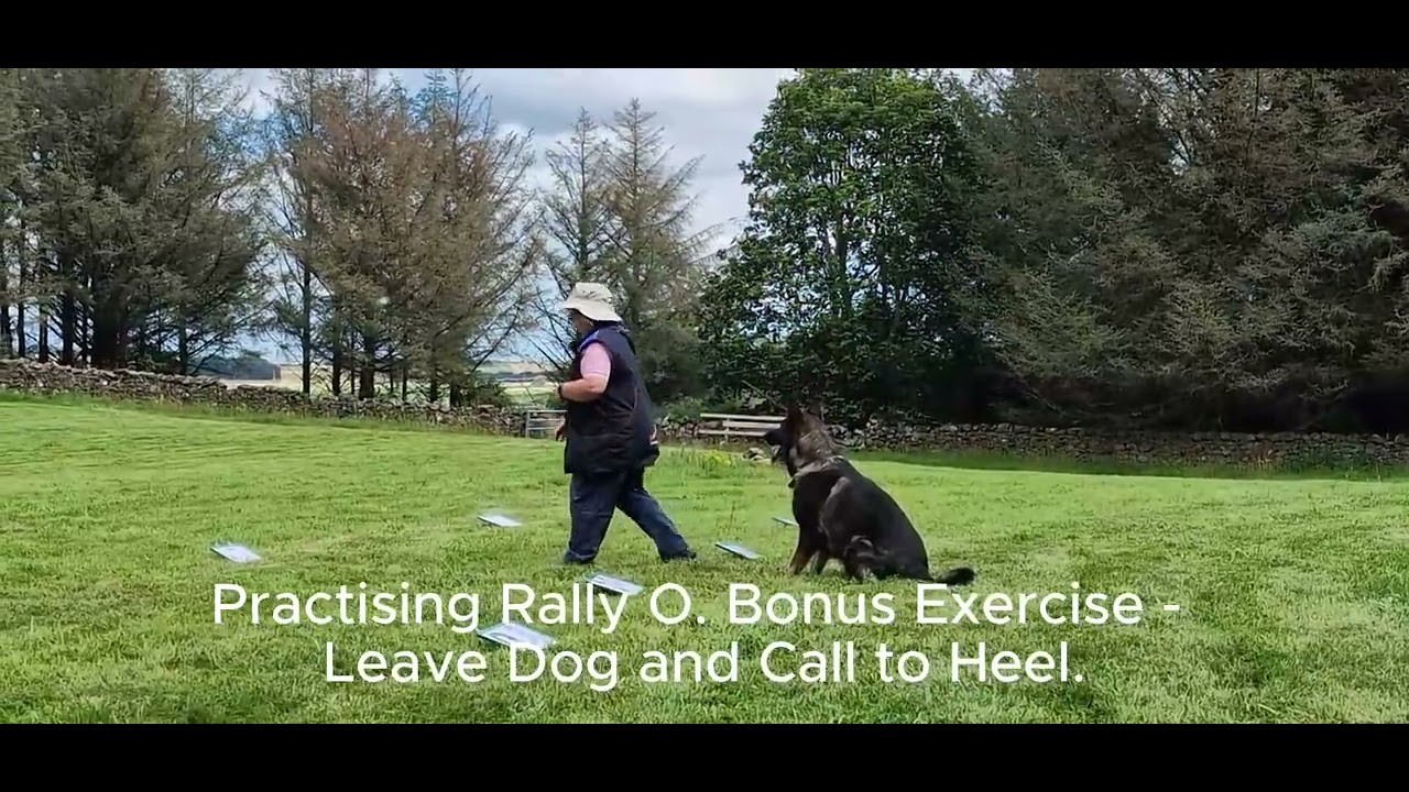 Rally O Bonus Exercise Leave Dog Call to Heel #rally obedience # ...