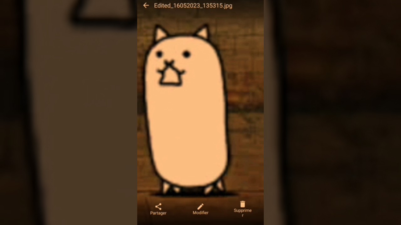 Tank cat & cat - YouTube