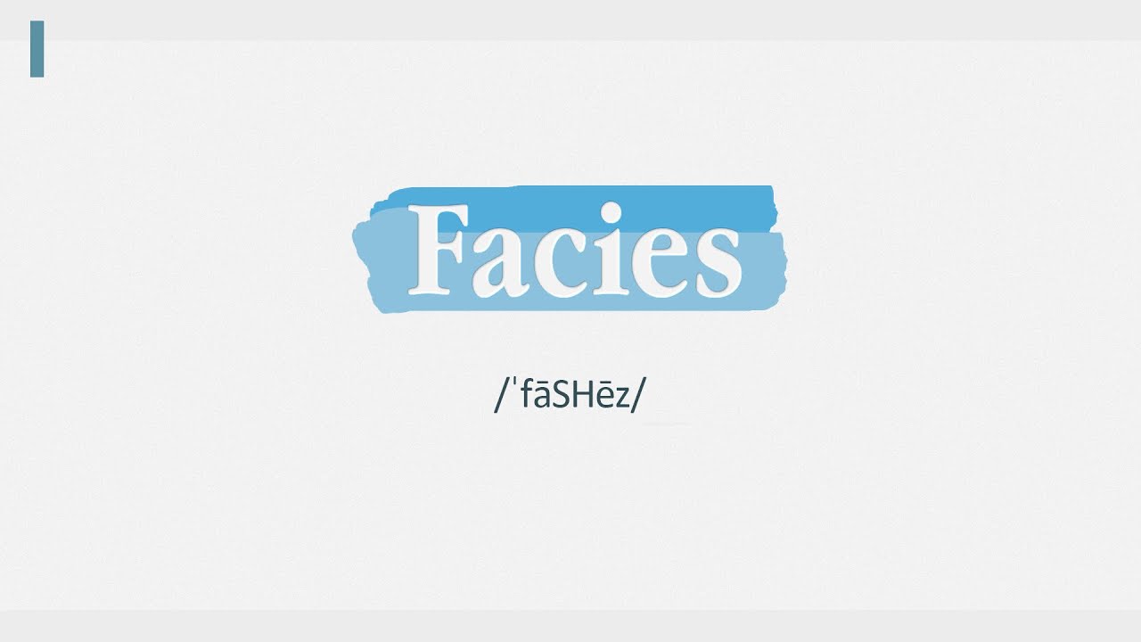 Facies - English Vocabulary Builder (Pronunciation, Meaning & Example ...