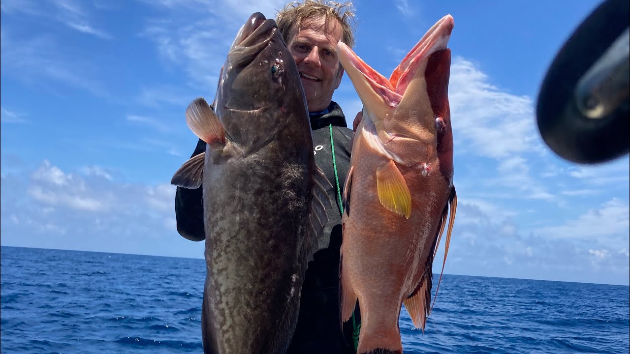 Chill dive, 60 lb stringer - YouTube