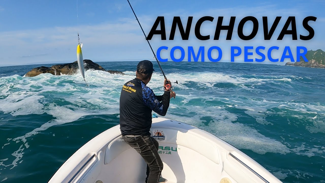PESCARIA DE ANCHOVA - COMO PESCAR - YouTube