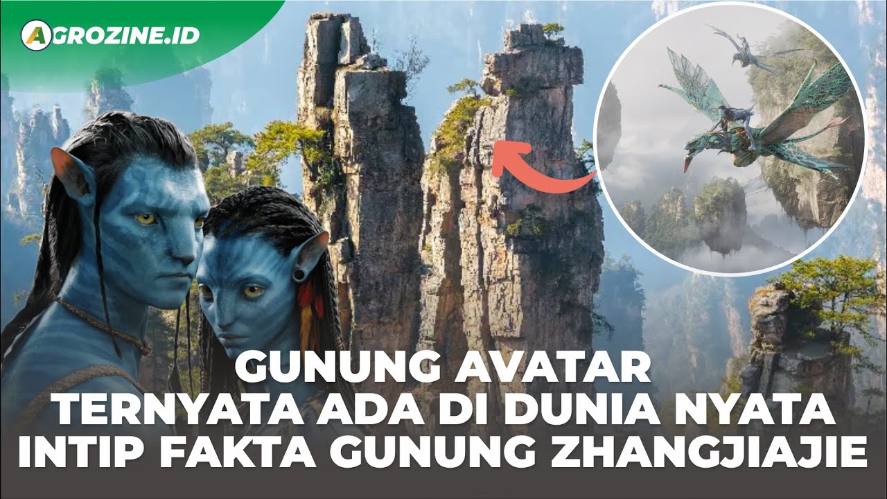 Di Cina Ada Pegunungan Avatar di Taman Nasional Zhangjiajie, Hunan ...