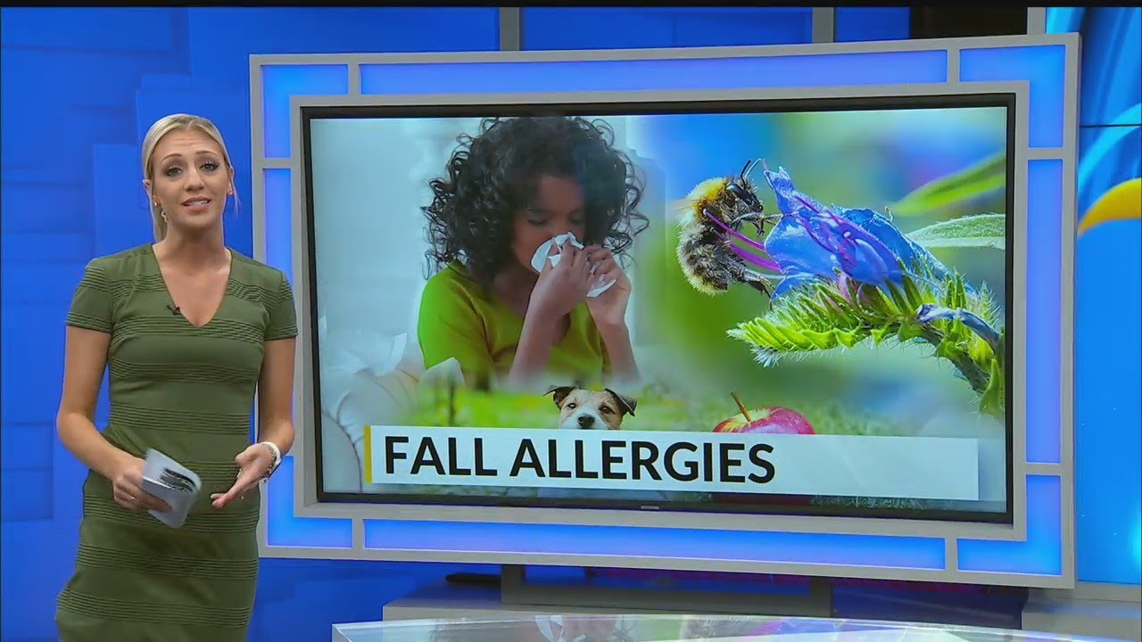 Why Am I Sneezing With A Runny Nose Many Are Asking This Fall YouTube why-am-i-sneezing-with-a-runny-nose-many-are-asking-this-fall-youtube