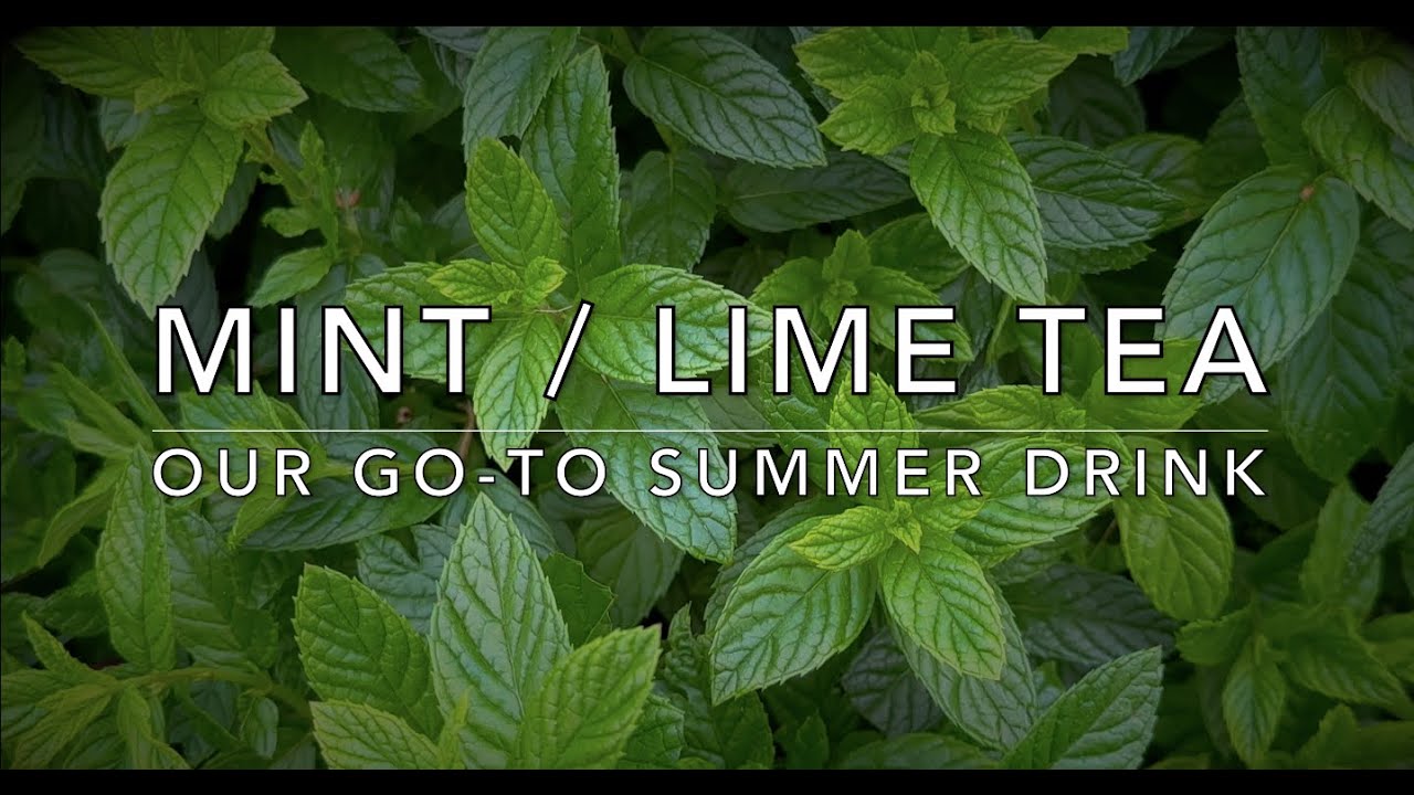 Mint / Lime Tea: Our Go-To Summer Drink --- additional info in ...