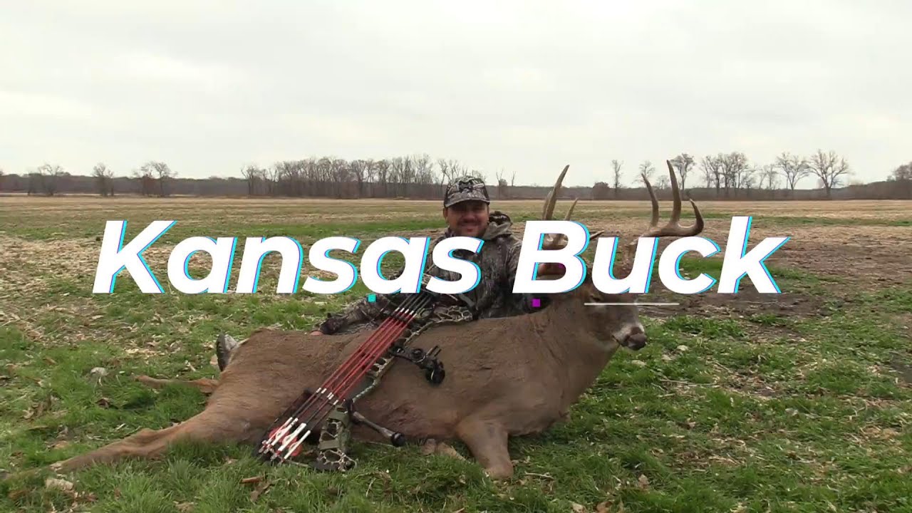 Giant Bucks in Kansas. Kansas Buck. (2022 season ep 8) - YouTube