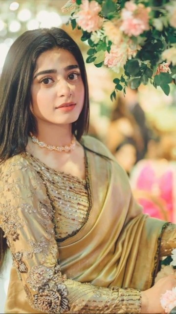 Beautiful🥰😍Pakistani actress Sher Khan in Saree look#fashion#beautiful# ...