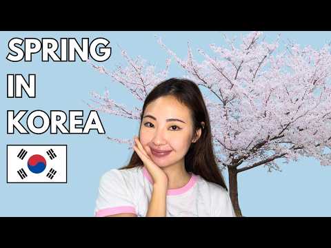 Cherry Blossoms in Korea - Where and When to See Them in 2026