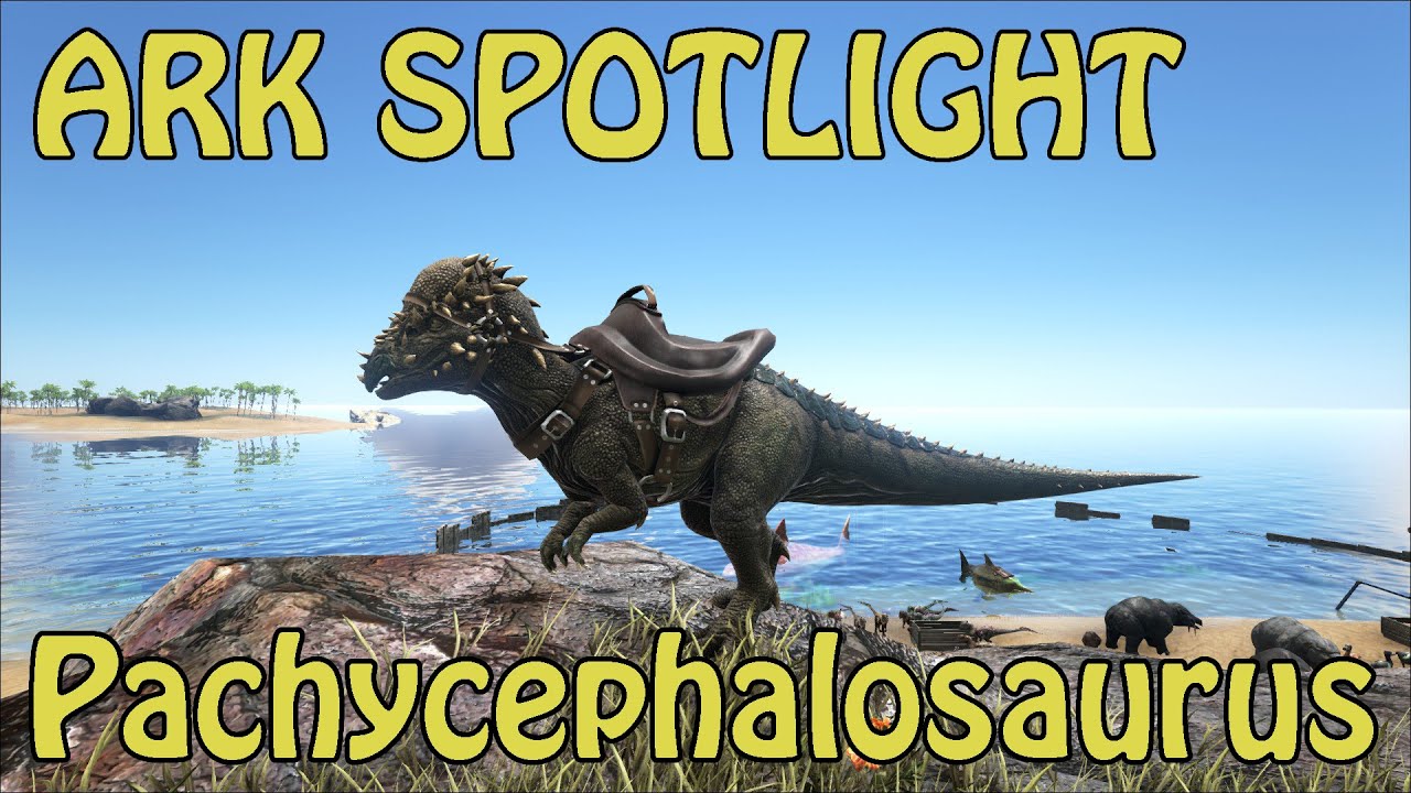 ARK: Survival Evolved - Spotlight - Pachycephalosaurus - YouTube