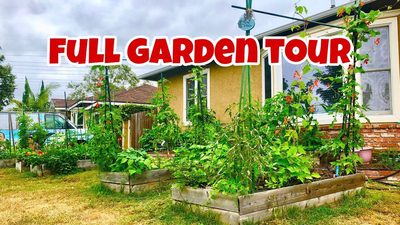 Full Garden Tour - 6/5/2020 - YouTube