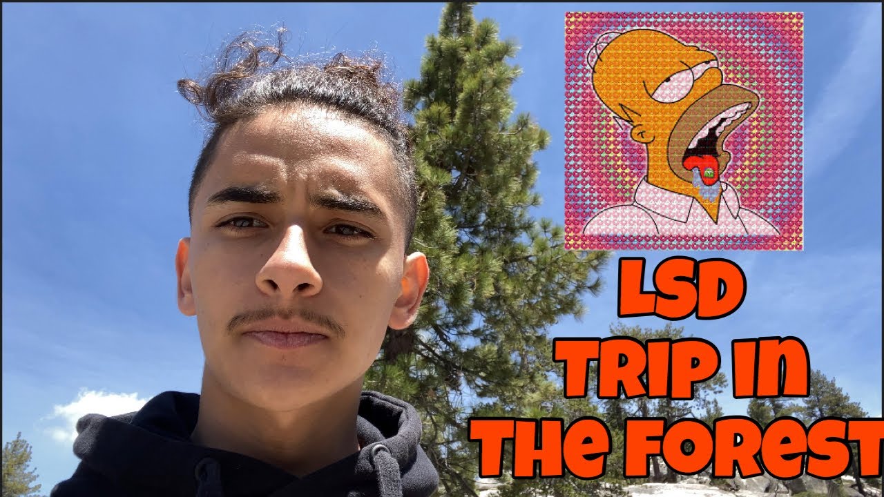 LSD Trip In The Forest 🌳 (Psychedelic Experience) - YouTube