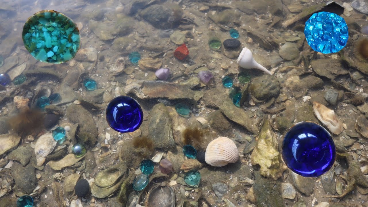 Colorful salt-water Crystal with Oysters. The shell is so Beautiful ...