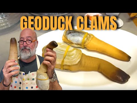Geoduck 101: How to Clean a Geoduck Clam