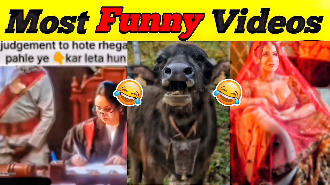 EP-37 || Most Funny Videos😂🤣 || Funny Video | Comedy Video | Meme ...