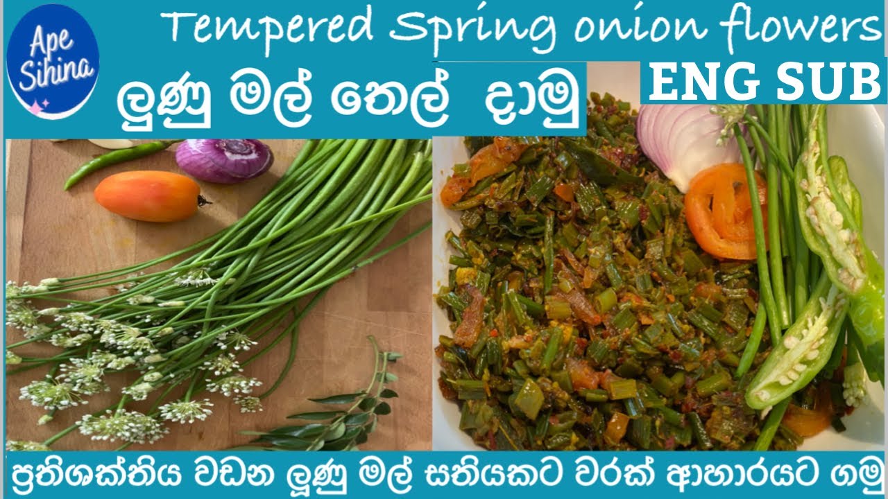 Tempered Spring Onion Flowers| ලූණු මල් තෙම්පරාදුව| Lunu Mal Theldala ...