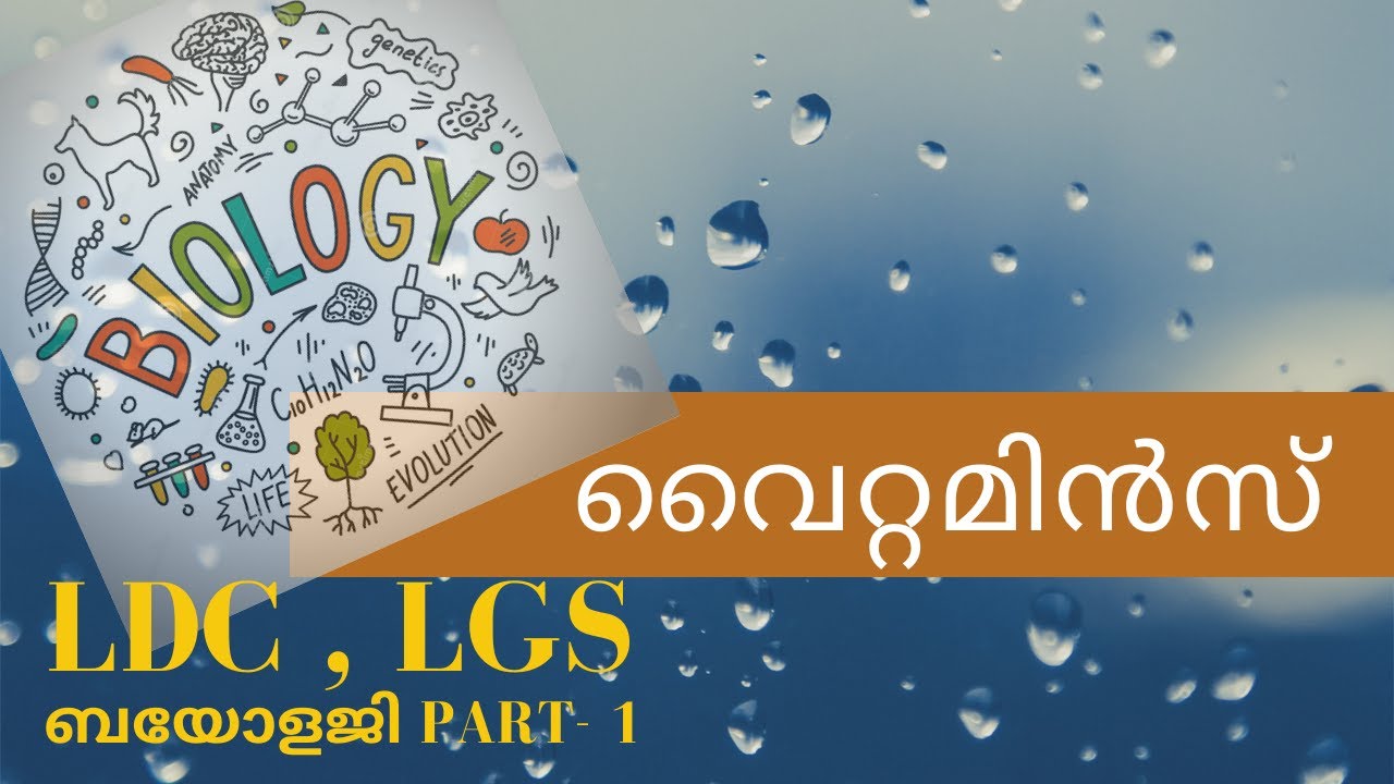 LDC, LGS -ബയോളജി Part 1 - Vitamins - YouTube