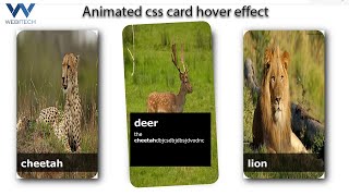 Stunning HTML u0026 CSS Card Animation Tutorial on Hove... | Doovi