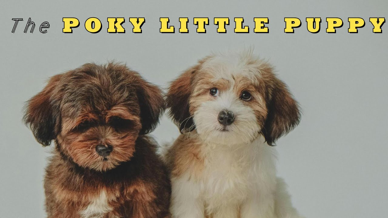 Grammy's story Time (The POKY LITTLE PUPPY) - YouTube