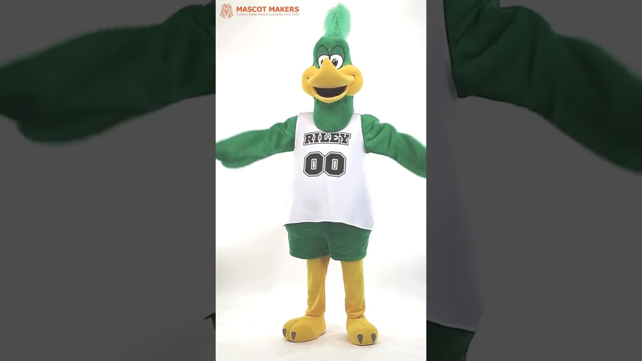 441488 roadrunner bird mascot - YouTube