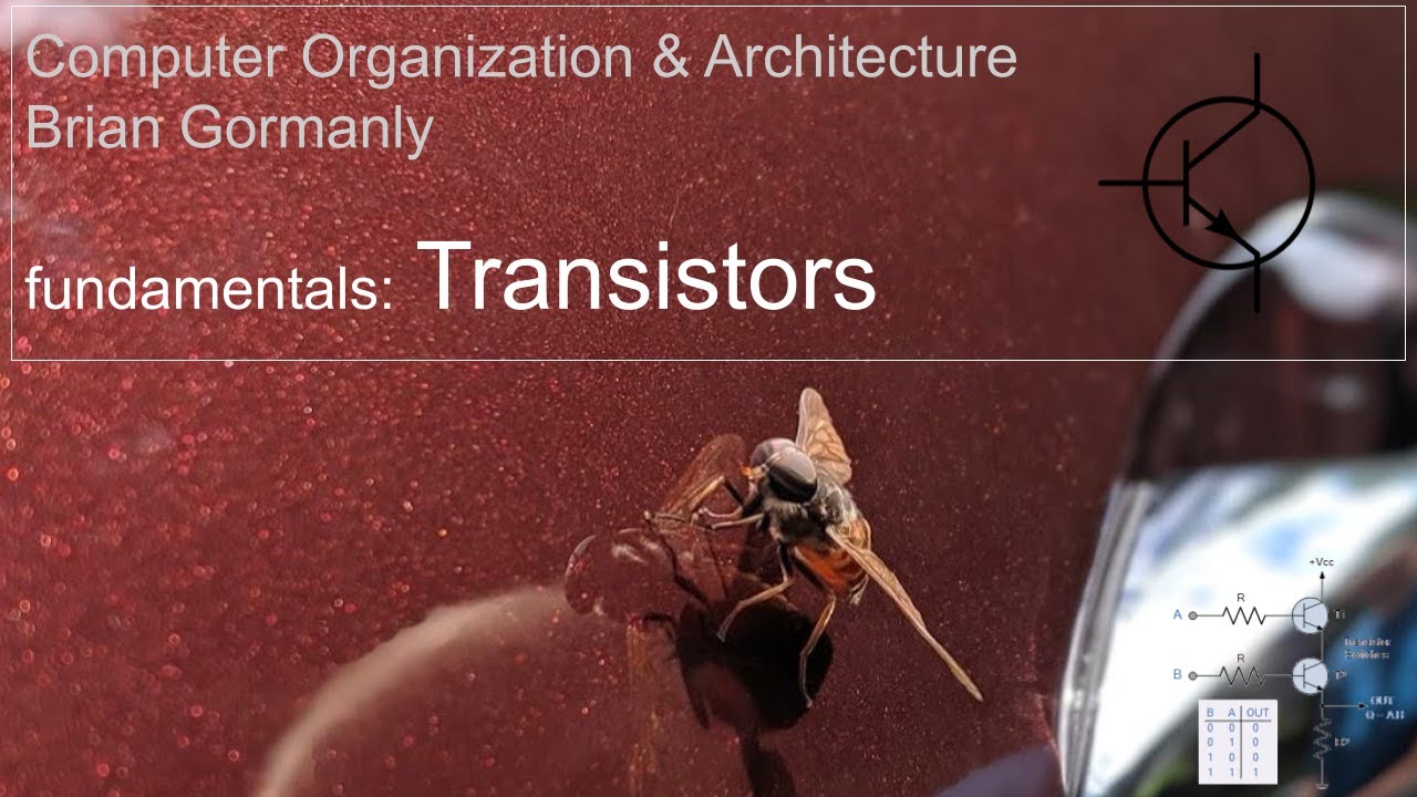 Transistors (What are they?): How a Computer Processor Works - YouTube