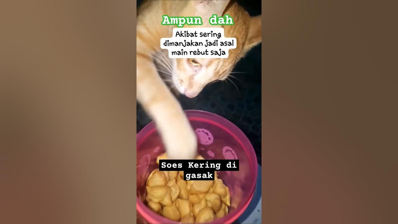 AMPUN AMPUN DAH SAMA SI EMPUSI - YouTube