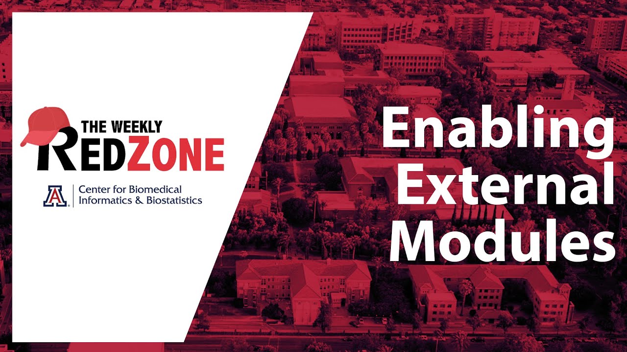 REDZone - Enabling External Modules - YouTube