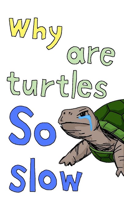 Why are turtles so slow - YouTube