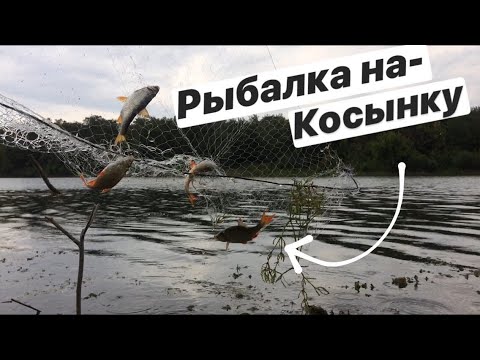 Косынка рвётся,сколько тут рыбы. Рыбалка на косынку - YouTube