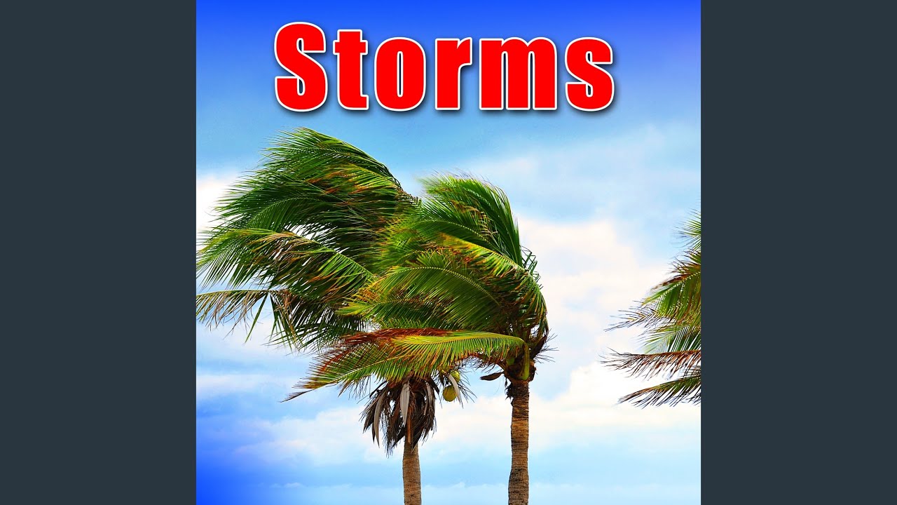 Intense Hurricane Wind Storm Blowing - YouTube