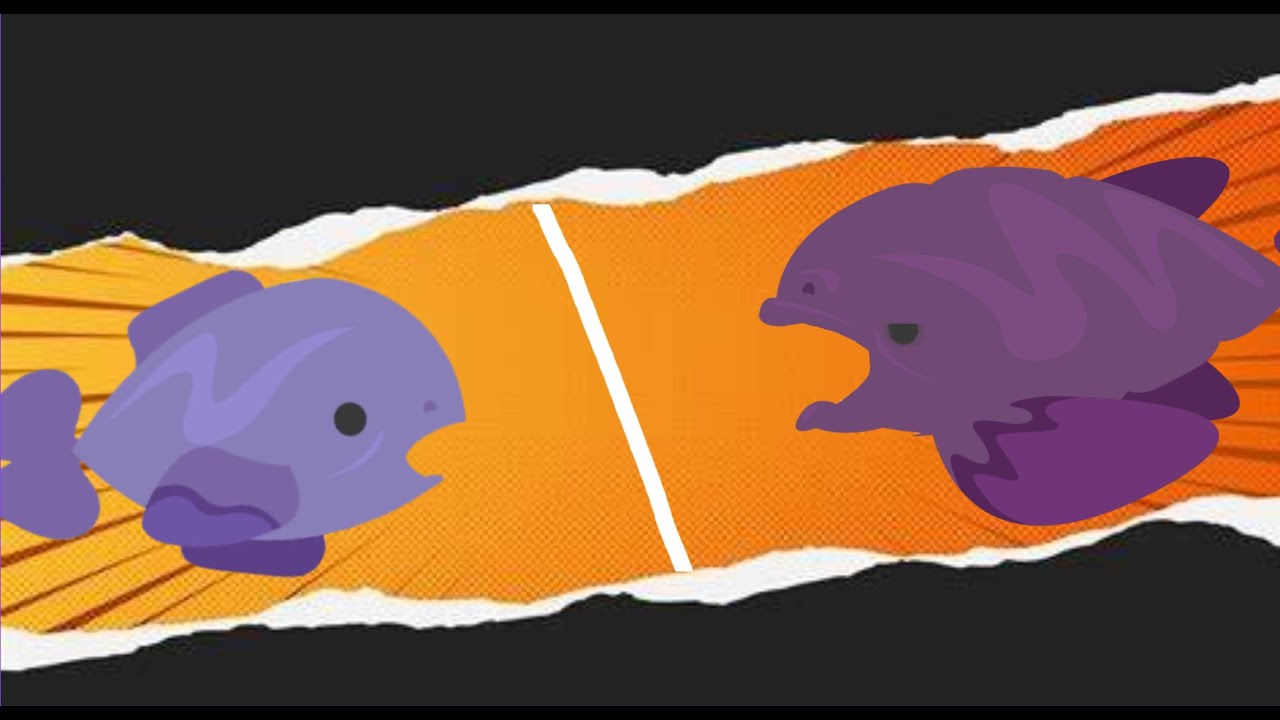 Cat goes fishing - How to catch a magnalav and swoosher - YouTube