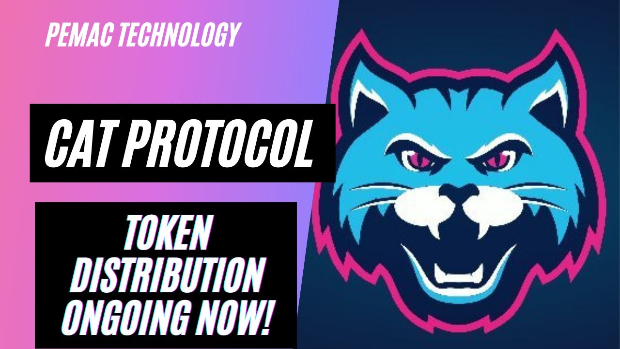 Cat Protocol Airdrop Distribution Ongoing Now! | Act Fast! - YouTube