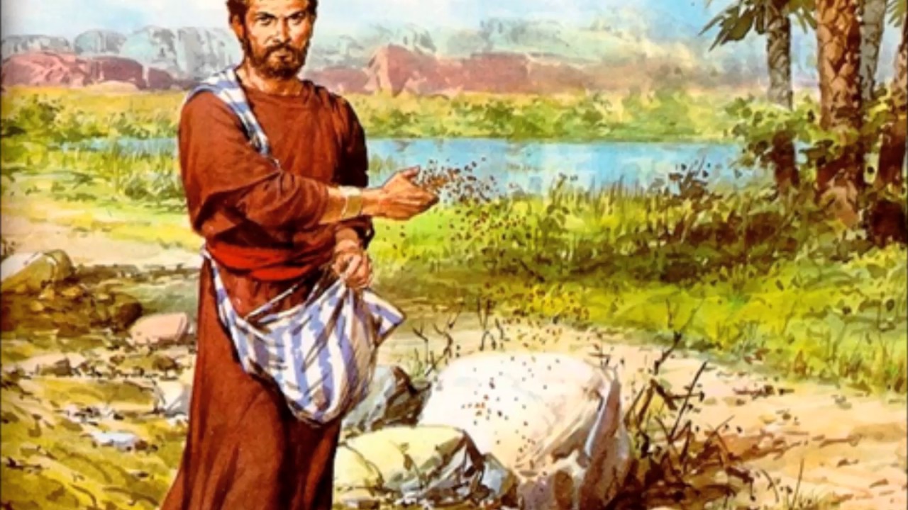 27 Enero 2017 Evangelio según San Marcos 4,26 34 - YouTube