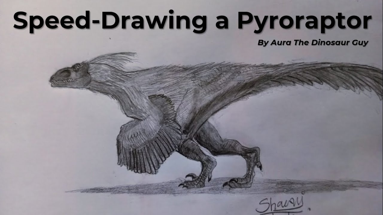 Speed Drawing A Pyroraptor - YouTube