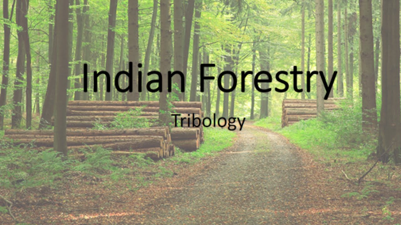Tribology - Indian Forestry - YouTube
