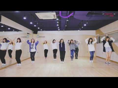 TWICE Signal -Dance mirror