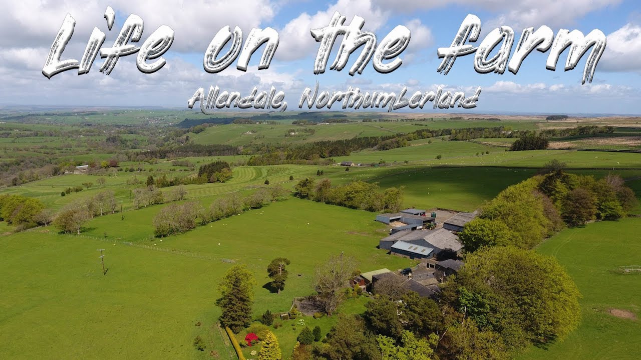 A year on the farm - HIGH STUDDON and PARK GATES - YouTube