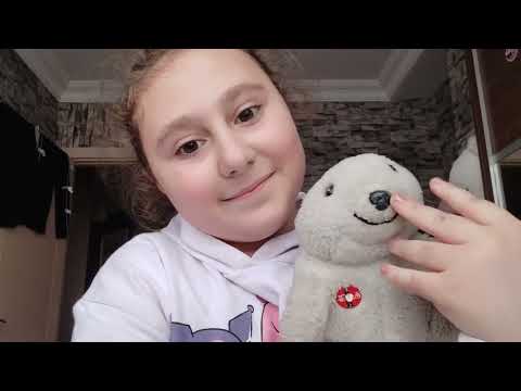 Habibi  ye özel  ayıcık  videosu