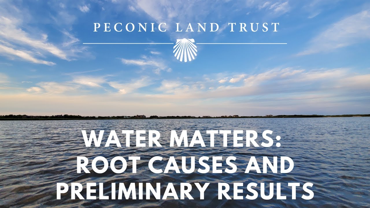Water Matters: Root Causes and Preliminary Results - YouTube
