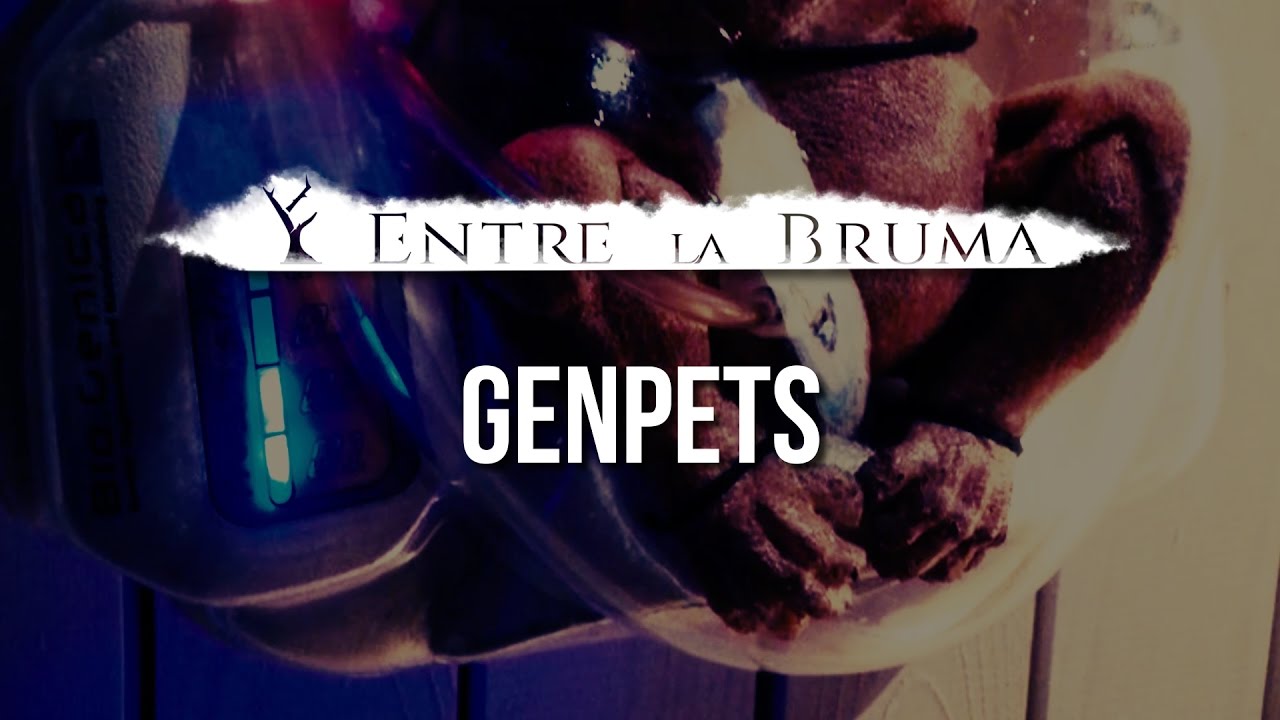 Genpets - YouTube