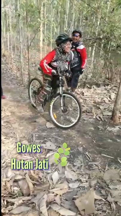 Blusukan Hutan Jati - YouTube