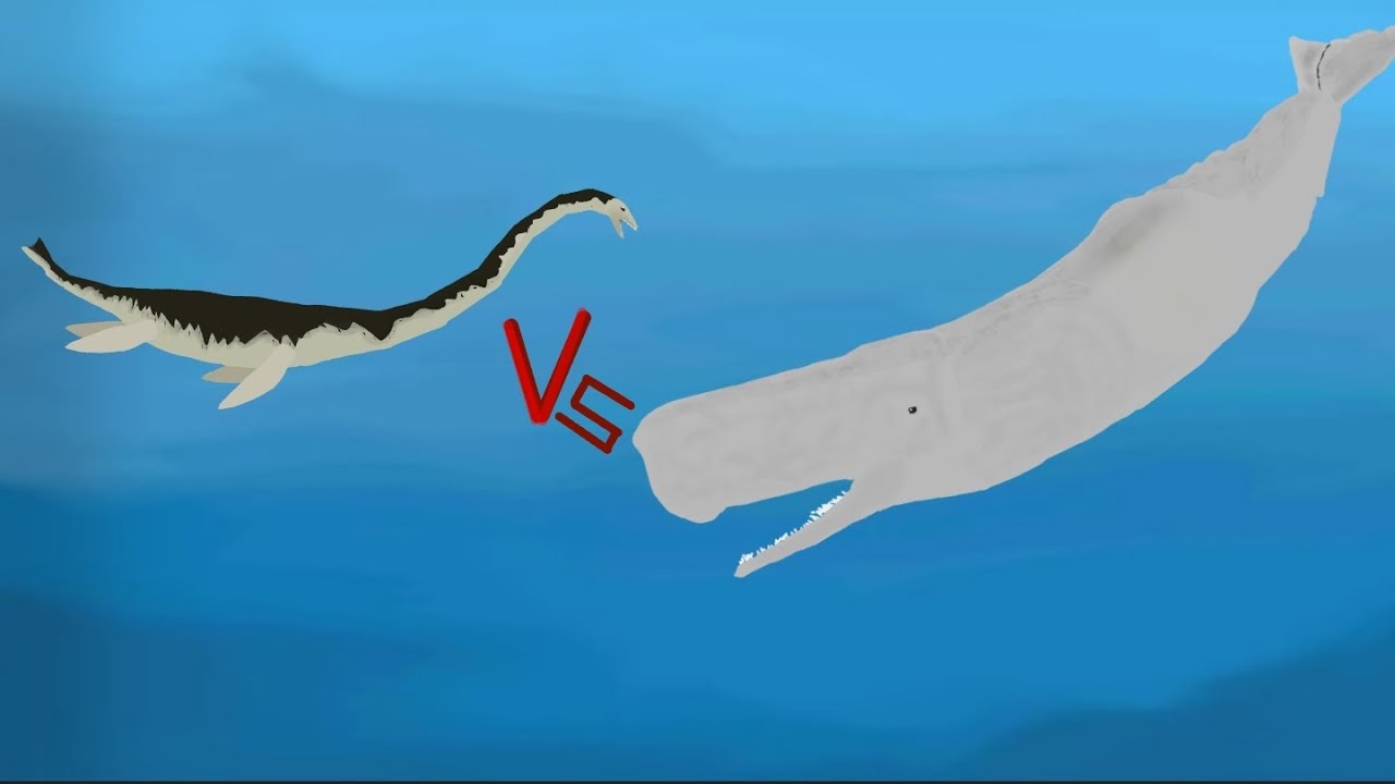DCBA: Loch Ness Monster VS Moby Dick - YouTube