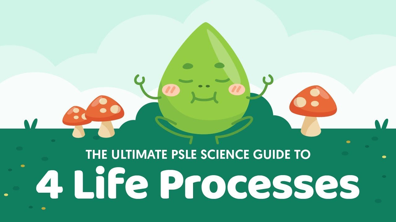 The Ultimate PSLE Science Guide To 4 Life Processes - YouTube