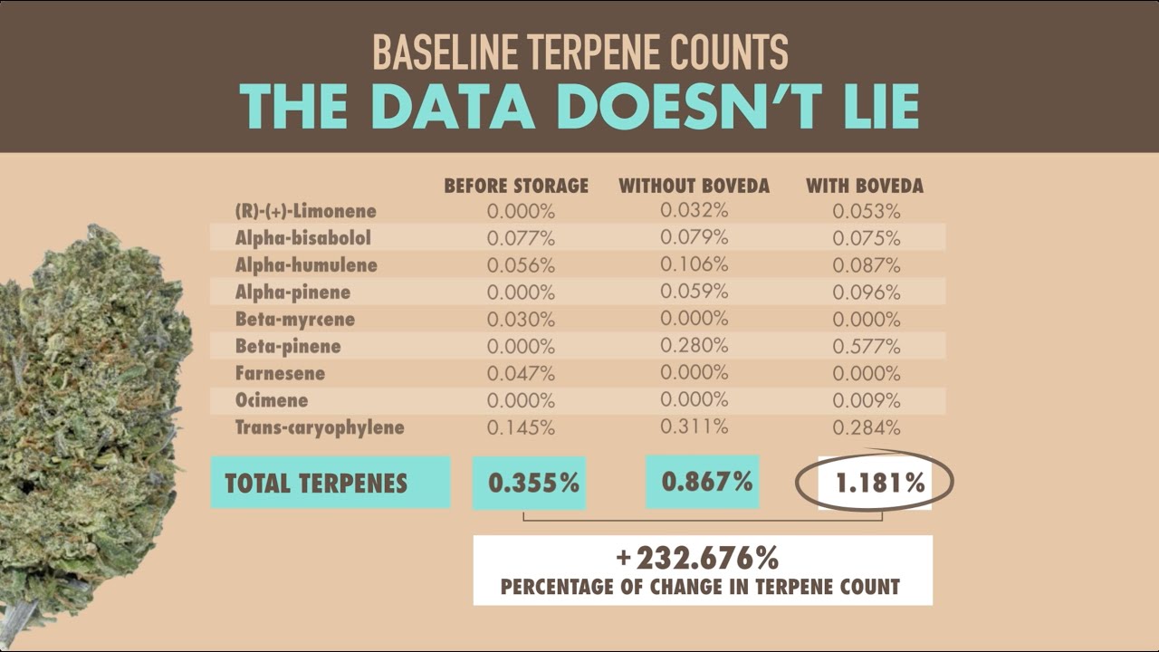 ACS Laboratory Confirms Boveda Saves the Terps - YouTube
