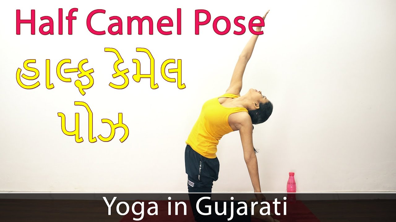 Half Camel Pose in Gujarati | Ardha Ustrasana | Yoga For Weight Loss ...