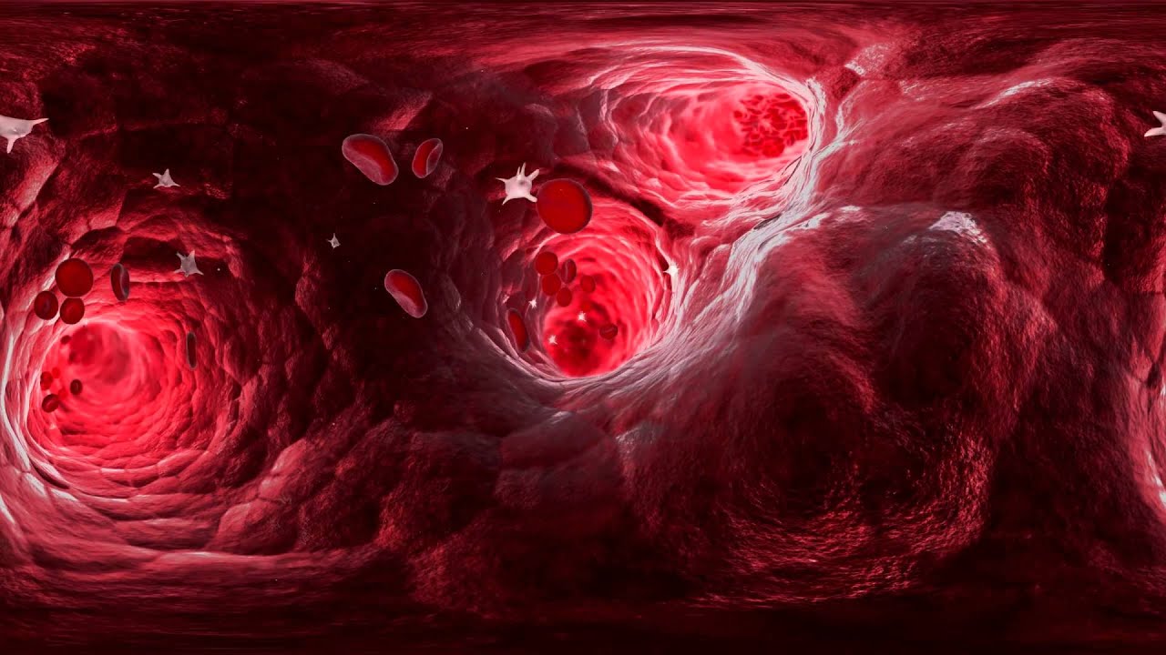 Blood360°test - YouTube