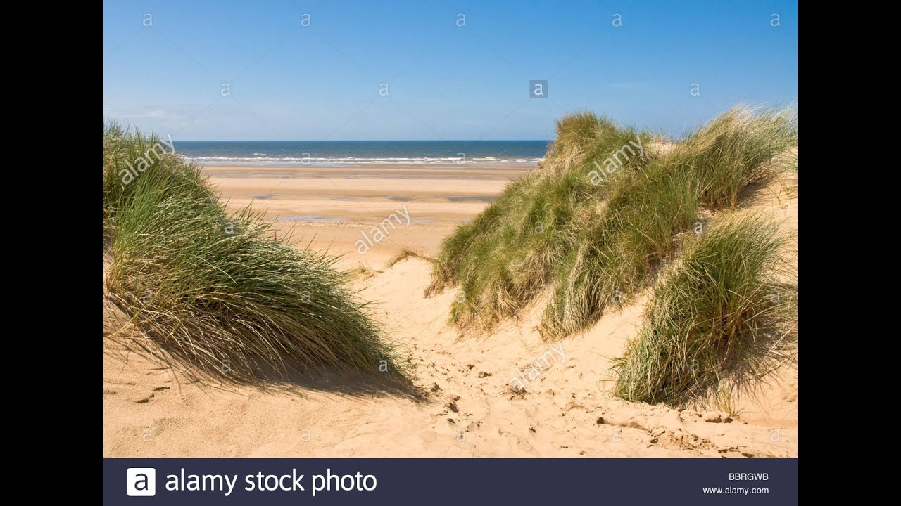 Sand Dunes All Students Week 6 - YouTube