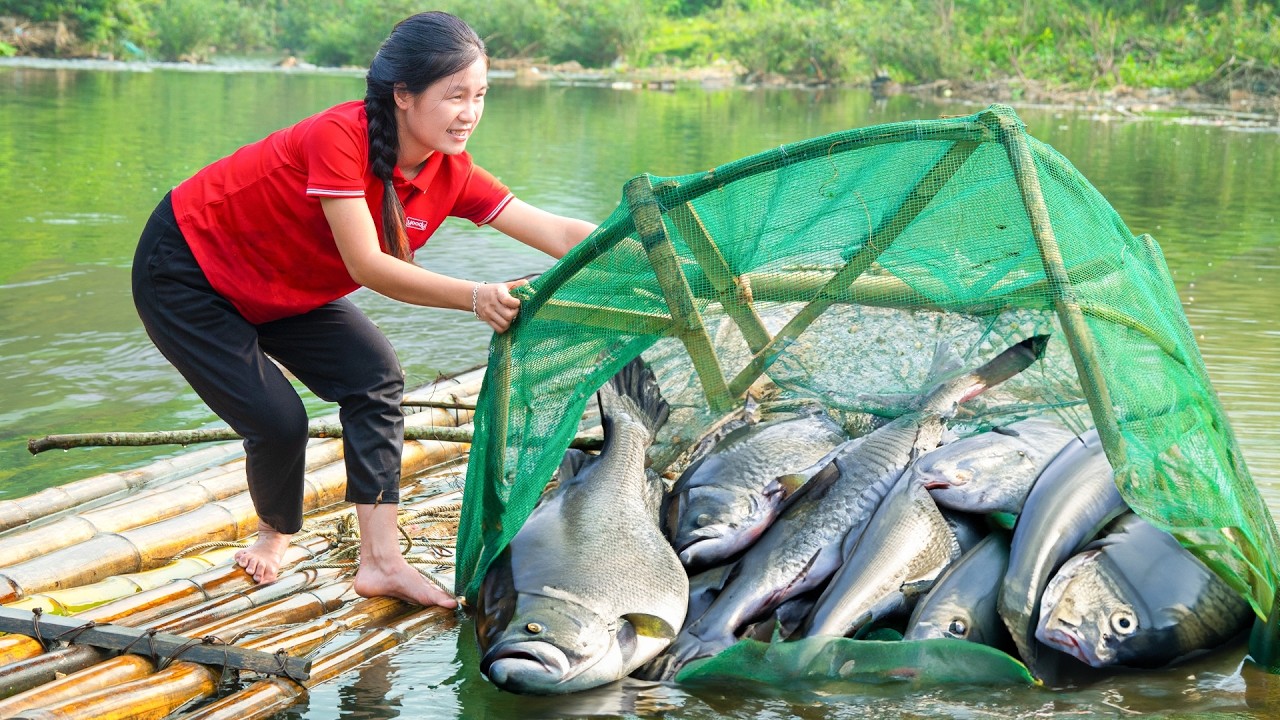 Wild Fishing Exciting - How to harvest giant fish to sell at the market ...